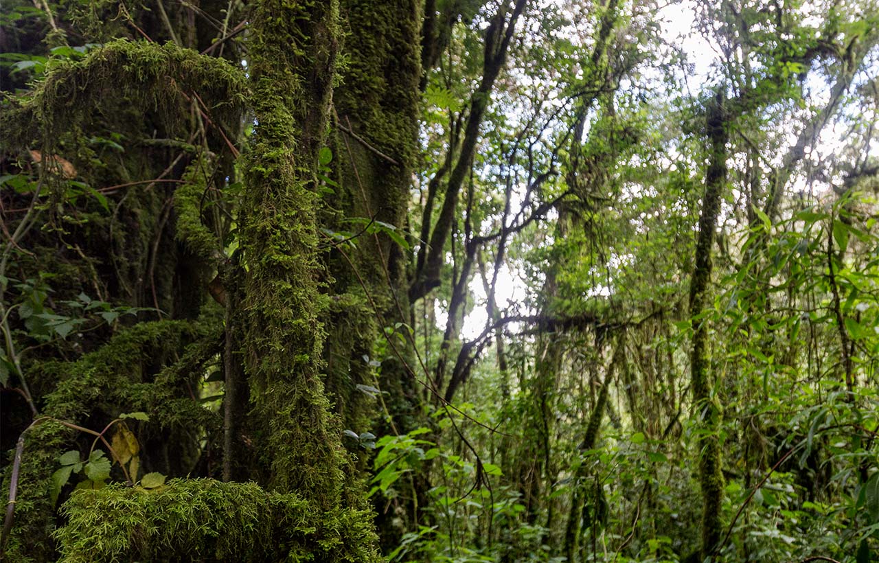 Natural Reserve – San Sebastian